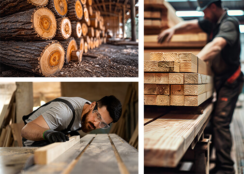 Guarantees and Permits - Timber CR